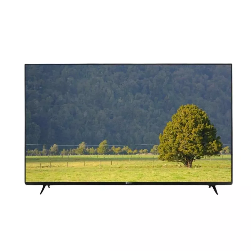 Dansat 50-inch smart screen, webos 4K - Electranest