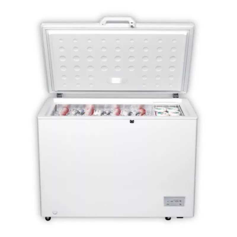 Floor freezer 7.2 feet, 200 liters - General Goldie - white - Electranest