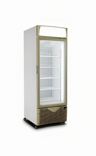 Bancool Single Glass Door Upright Freezer - 35 ft - Stainless Steel ...